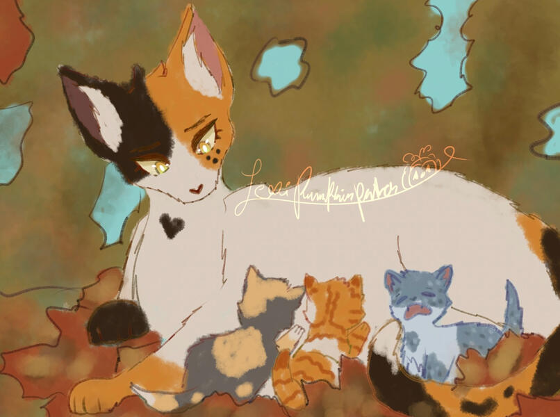 Lexi’s Pumpkin Patch